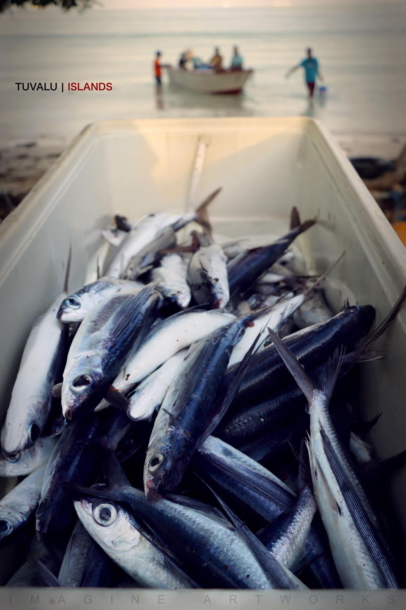 A National Oceans Policy for Tuvalu: 3 experts consider the process to ...