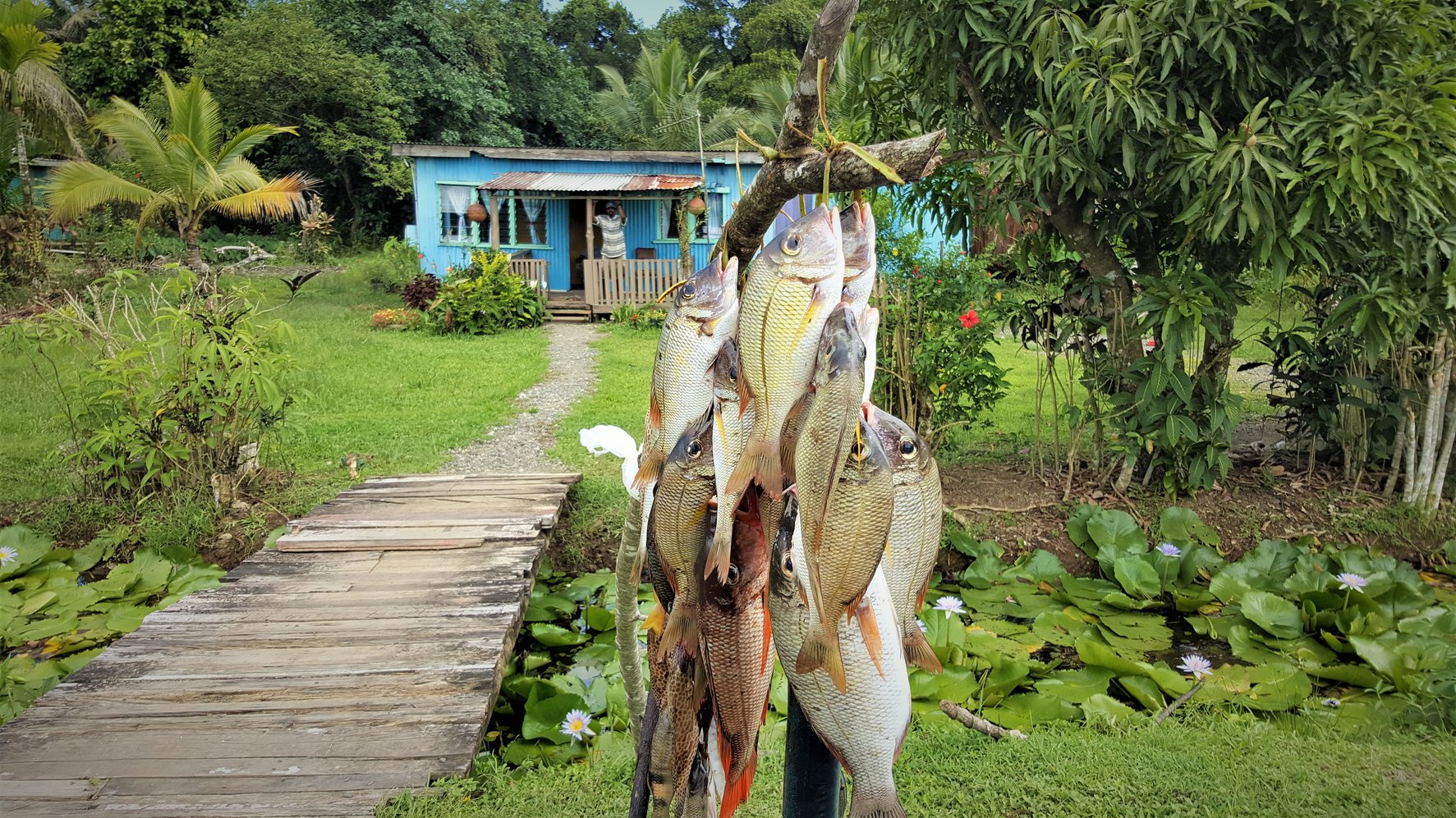 Fiji's first National Fisheries Policy: an update